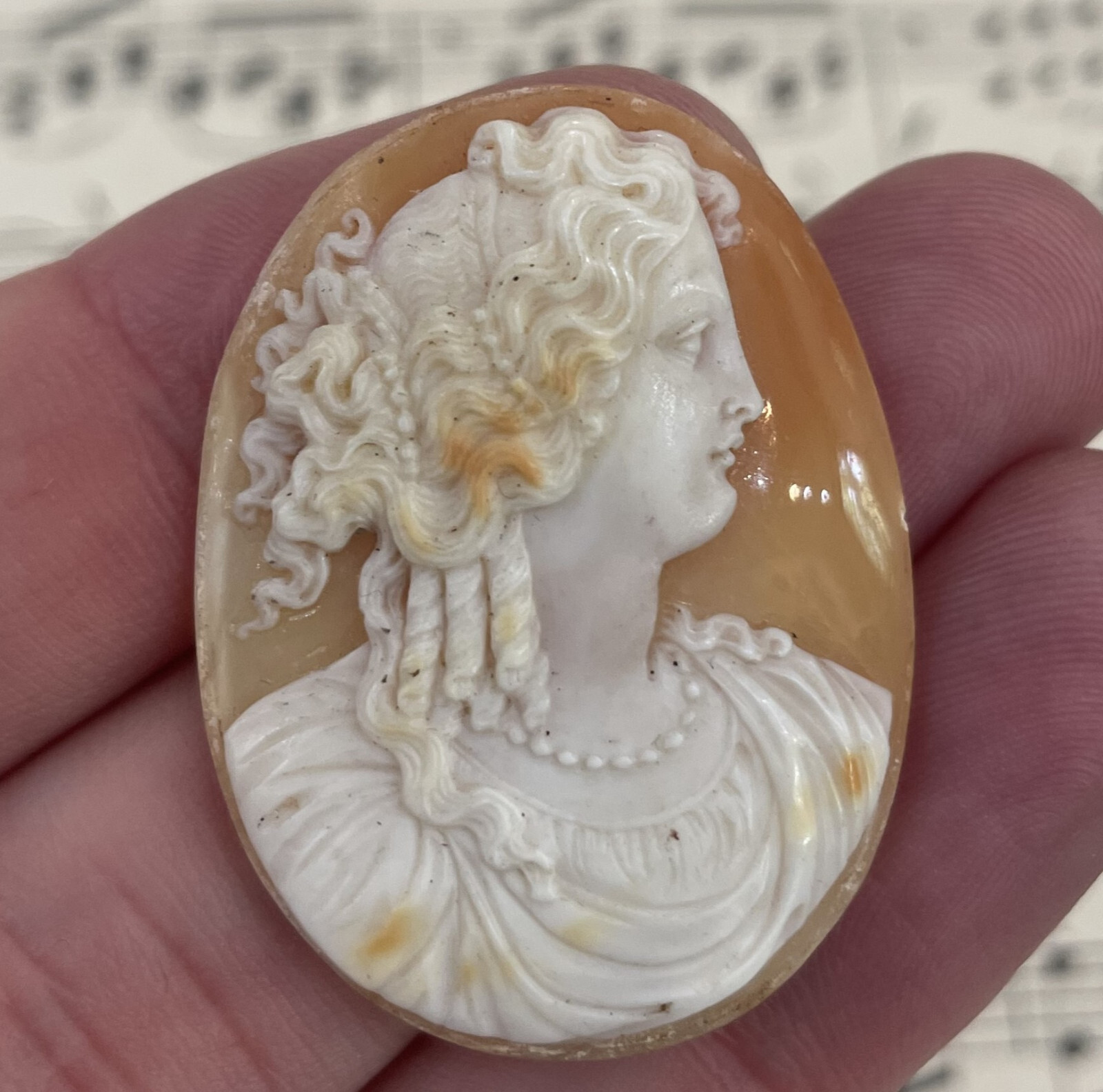 Rare Antique Italian Carved Shell Cameo Mythology Rom… - Gem