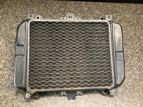 09 Kawasaki Ninja 500 EX500 Radiator & Fan 52F | eBay