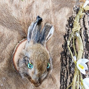 Scenic City Oddities | eBay Stores