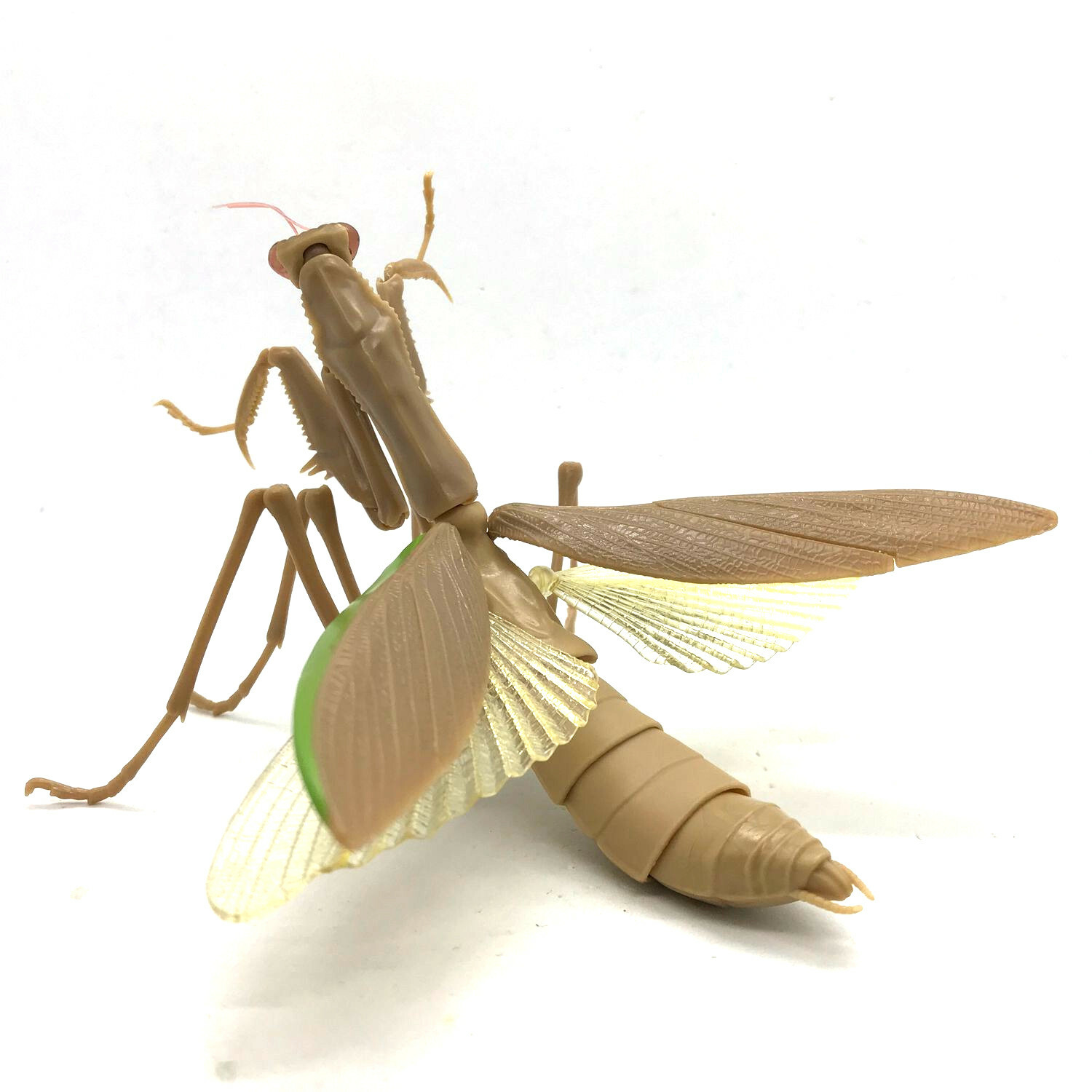 Bandai Encyclopedia of Creatures MANTIS Abdominal Normal No.03 Insect ...