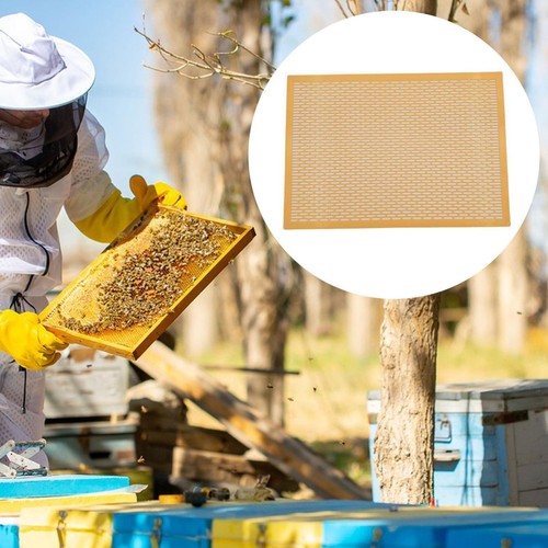 8 Frame Queen Excluder Bee Hive Tool Supplies Accessories | eBay