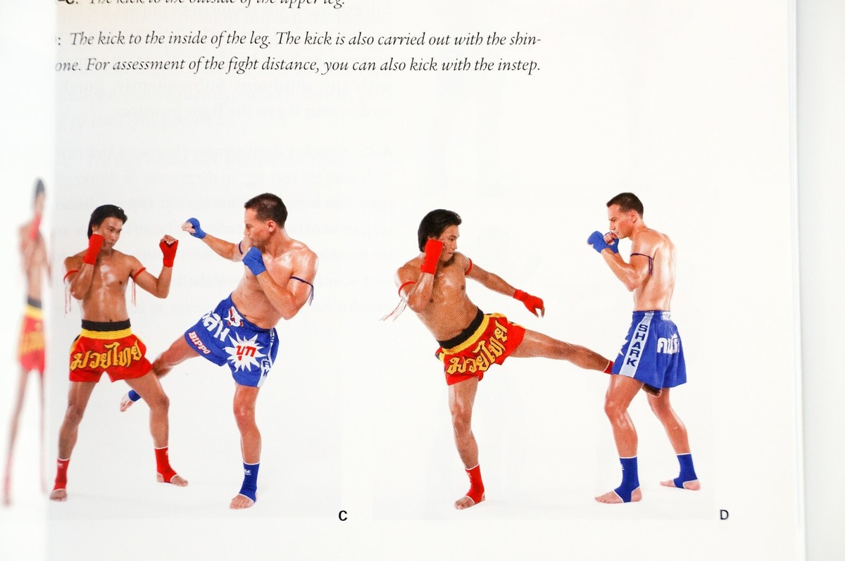 Muay Thai Techniques Pdf