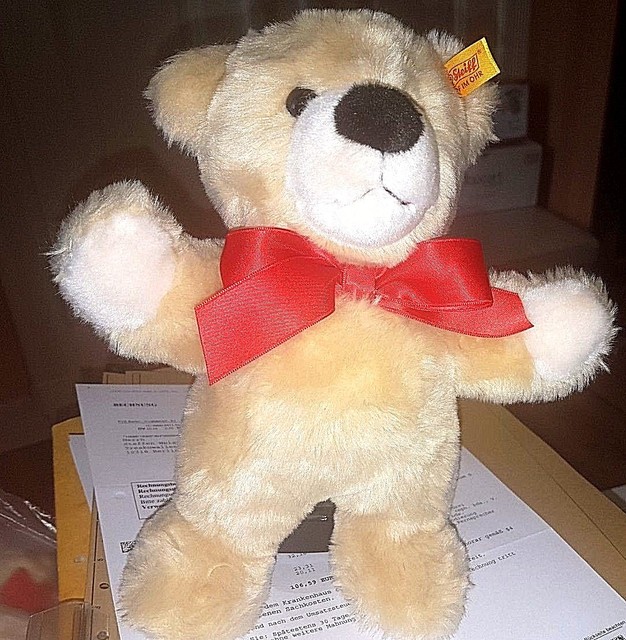 Steiff Teddy Bobby blond 021831 24 Cm mit Schild online kaufen | eBay
