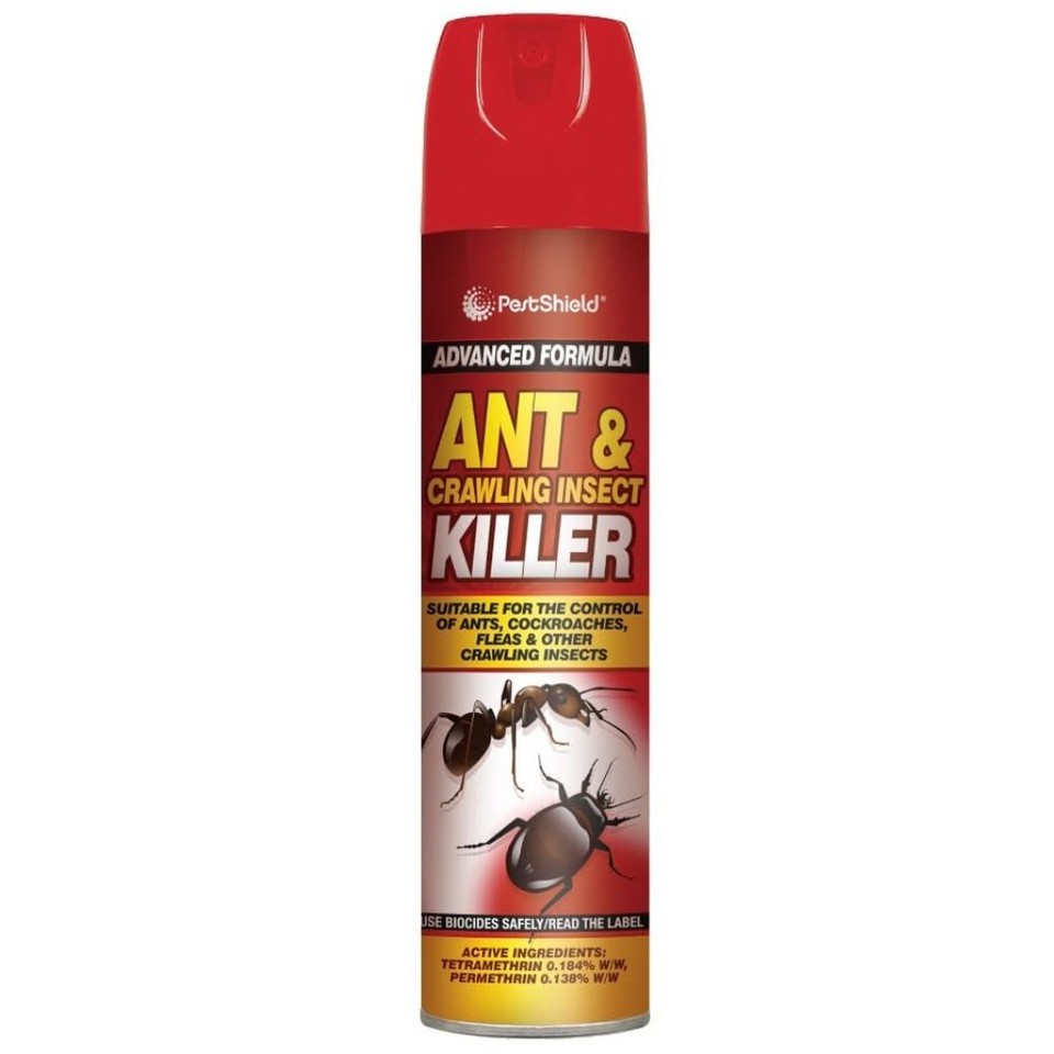 Ant Killer Spray Indoor Outdoor Cockroaches Beetles Insects Bugs New ...