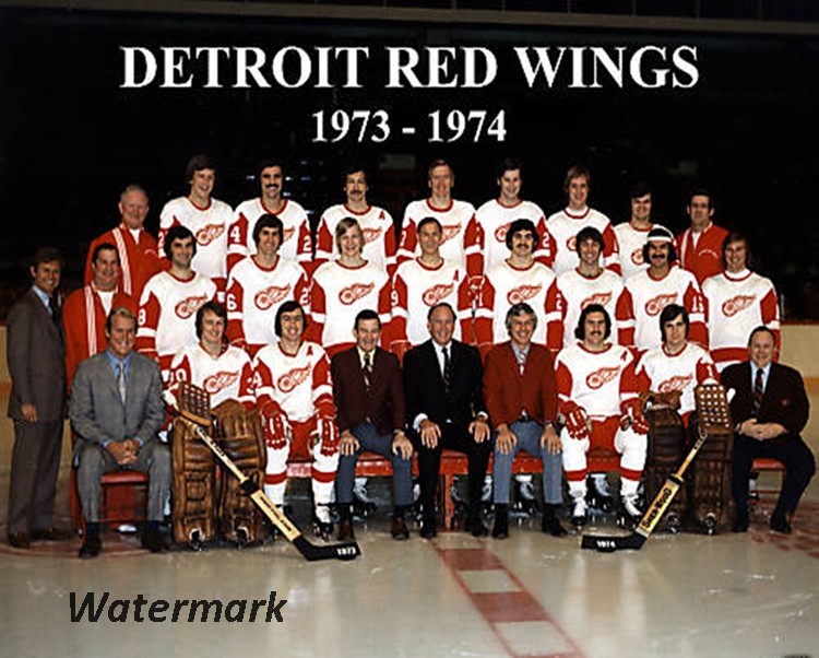 NHL 1973 - 74 Detroit red Wings Team Photo Color 8 X 10 Photo Picture ...