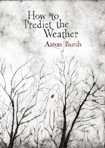 Aaron Burch How to Predict the Weather (Paperback) (UK IMPORT) 9780982151266| eBay