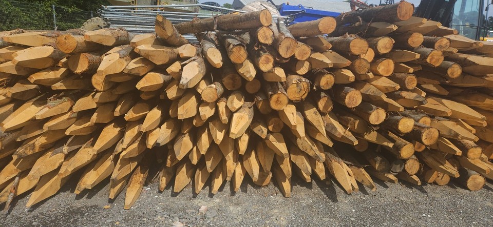 8ft Chestnut Stakes | eBay UK