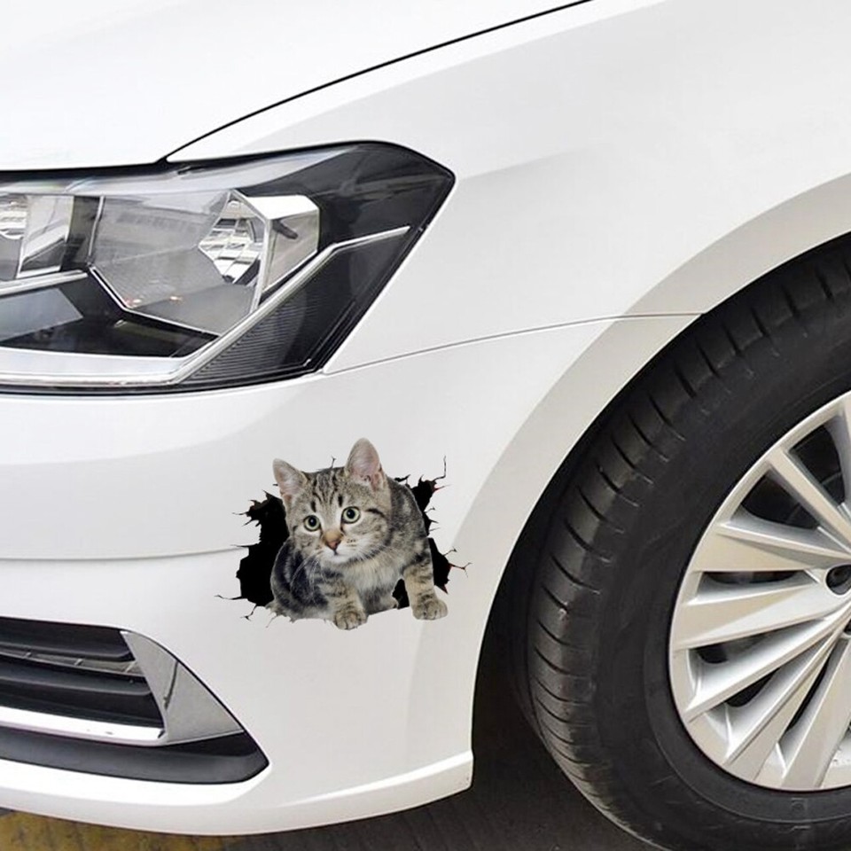 5PCS Car Body Sticker Cat Wall Decals 3D Cute Cat Stickers For Window ...