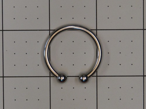 One 316L Stainless Steel 8 Gauge 1” Internal Horseshoe/Prince Albert ...