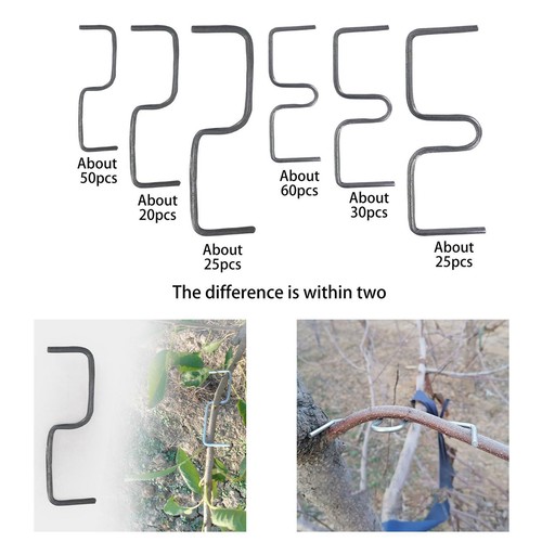 Tree Branch Puller Fruit Tree Holder Steel Wire Reusable Plants Stem ...