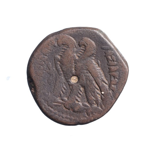 Ptolemy IX / Cleopatra III AE Obol Ptolemaic Greek Bronze Eagle Coin ...