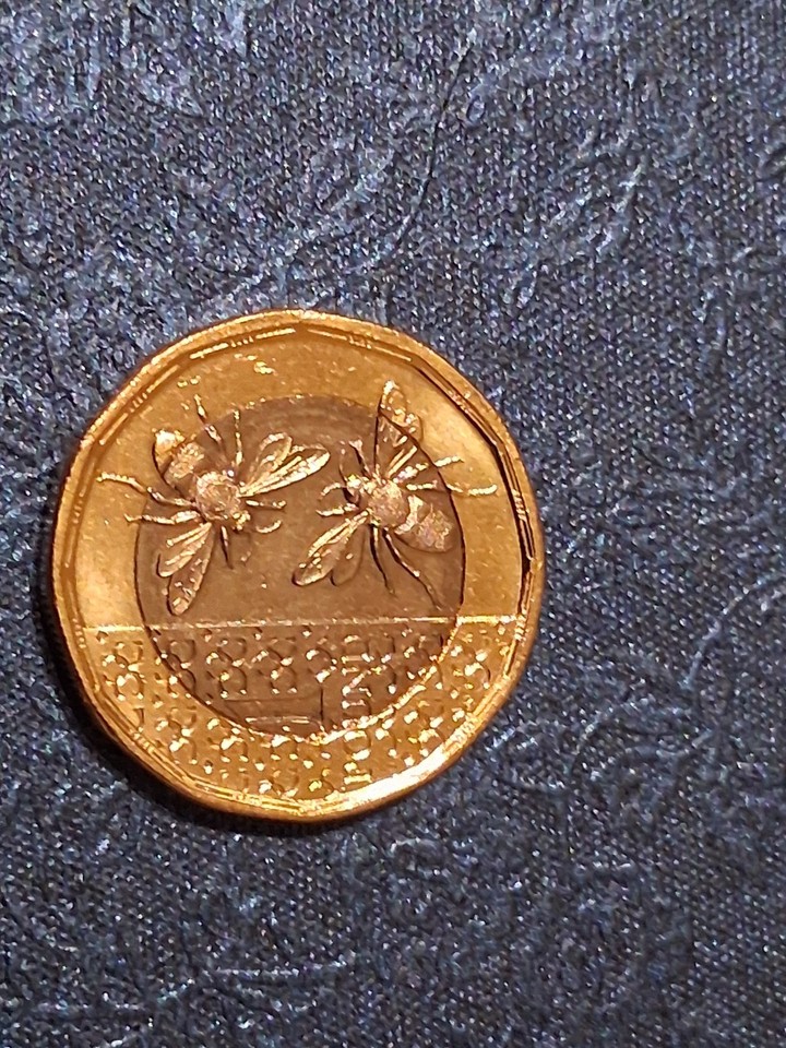 Rare £1 Coin Wasp Defect Error 1 Pound Coin | eBay UK