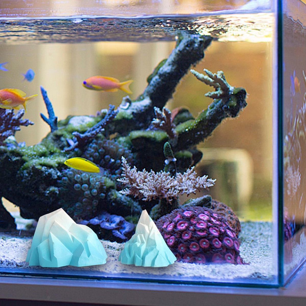 Aquarium Tank Accessories Brush Professional Shrimp Feeder Fish Tank