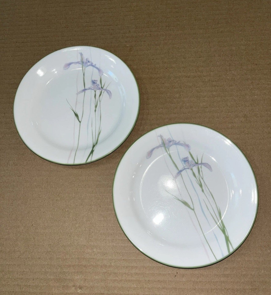 Corelle Shadow Iris Dinner Plates 10 1/4” Set Of 2 Green Rim ...
