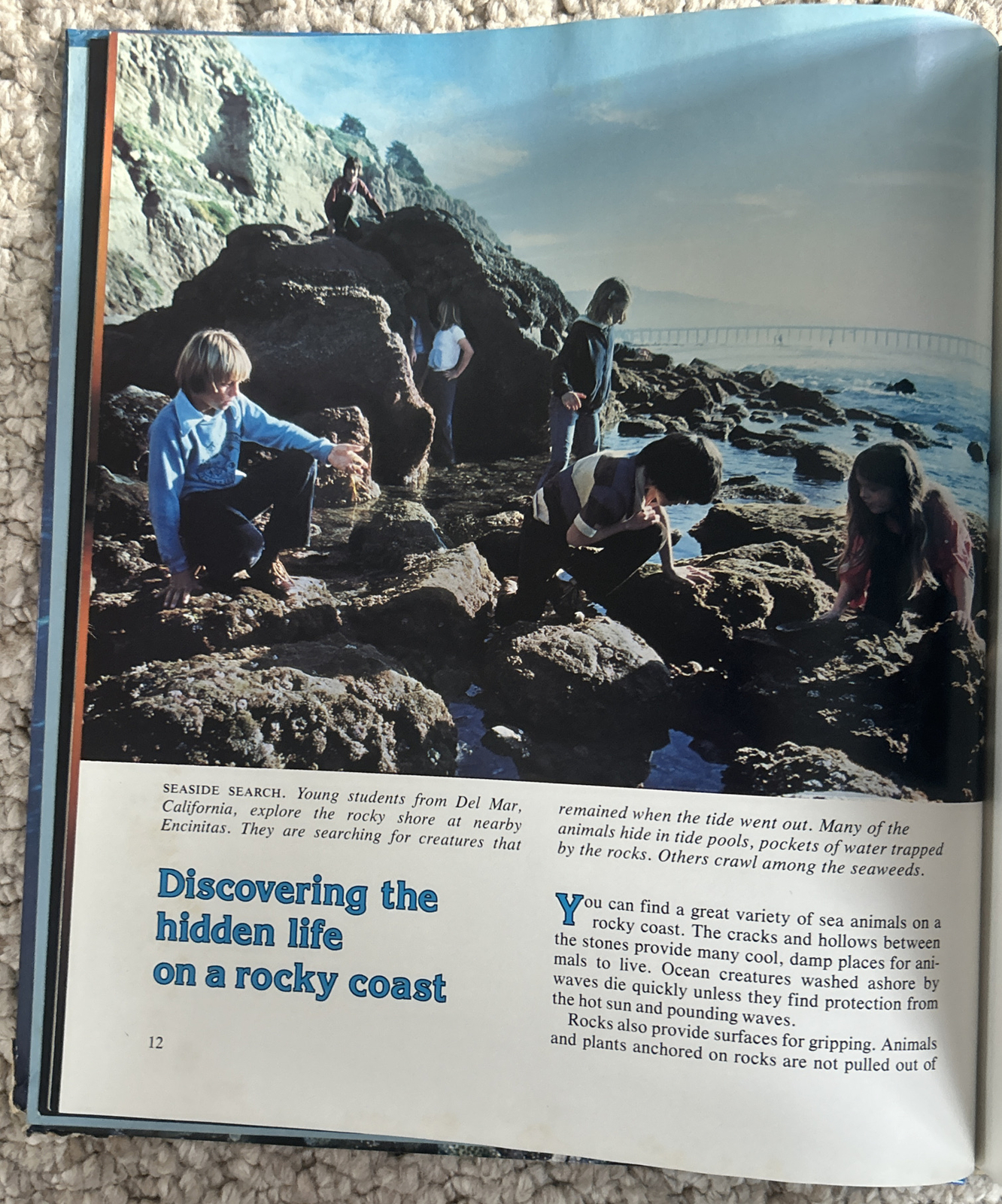 The Mysterious Undersea World HC book by Jan Cook inserts Nat Geo ...