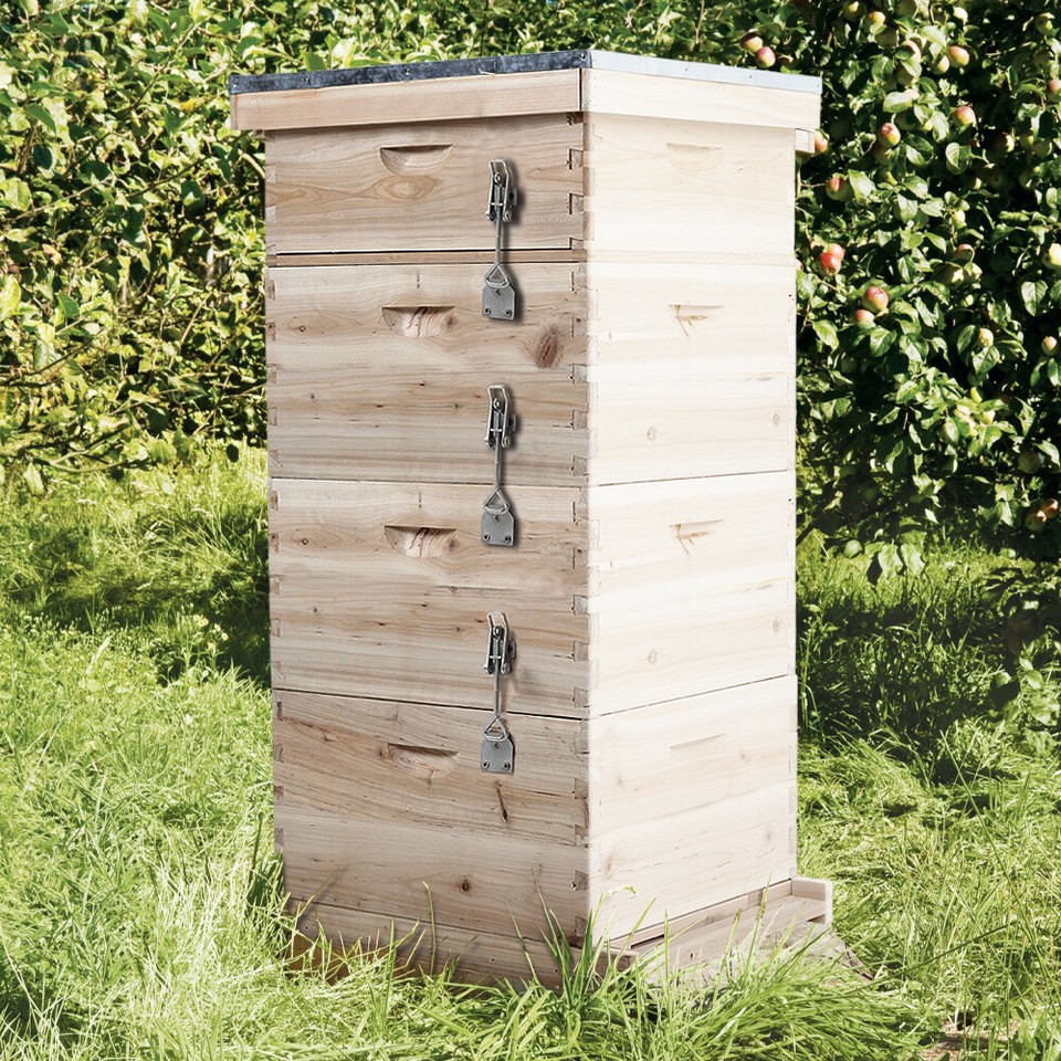 4 Tiers Langstroth Beehive Box Wooden Brood Box Hive Frames Beekeeping ...