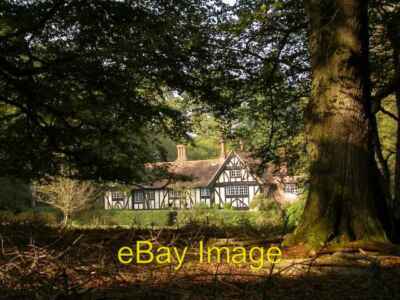 Photo 6x4 Edge of Bignell Wood Wittensford New Forest This house (also ...