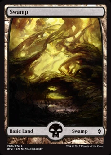 Magic The Gathering Swamp Art