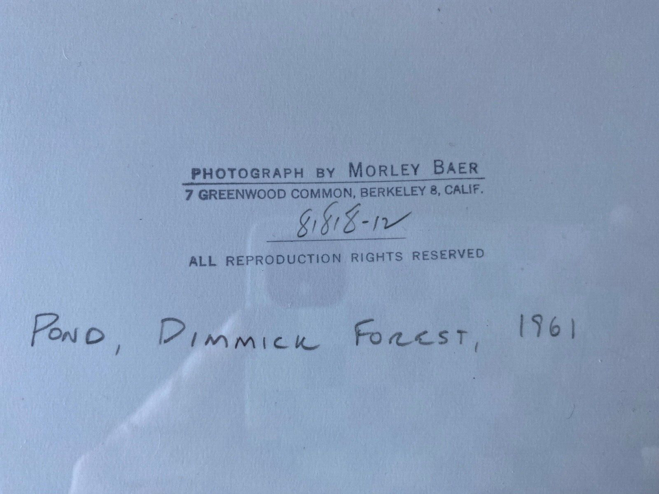 Photograph - Original vintage black and white contact photograph by ...