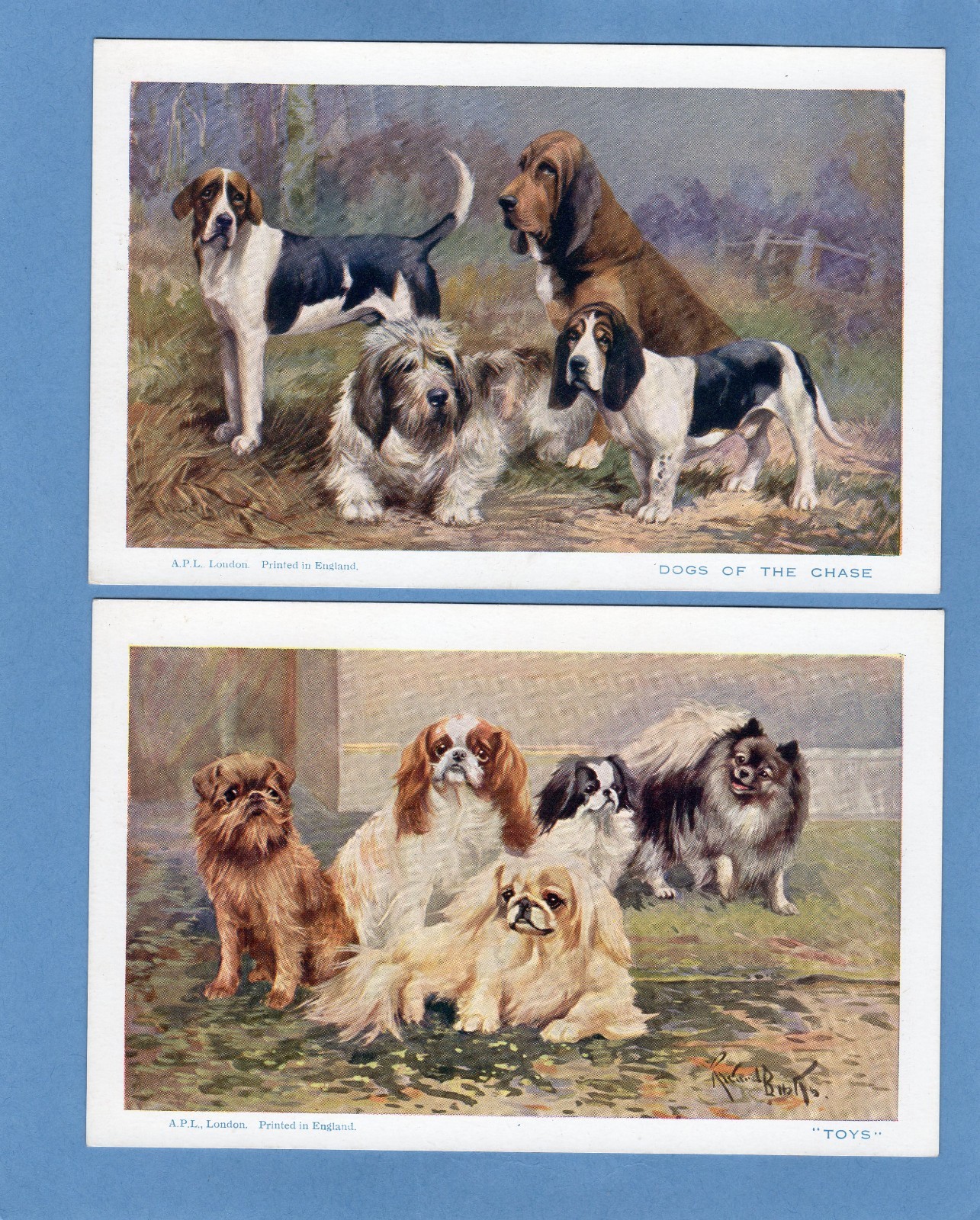 Set 8 Spratt's Dog Series by R Ward Binks Dogs pcs unused APL Ref N172 ...