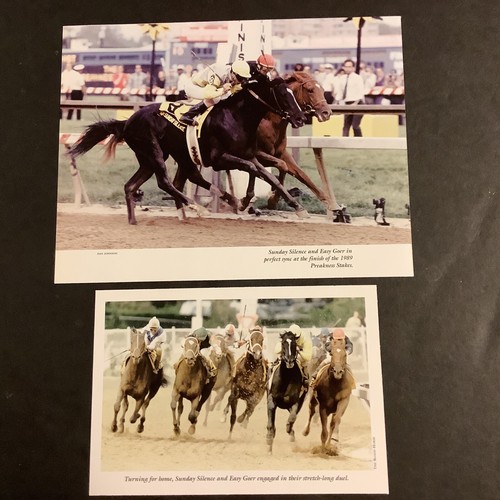 SUNDAY SILENCE EASY GOER Photo Horse Racing 1989 PREAKNESS STAKES | eBay