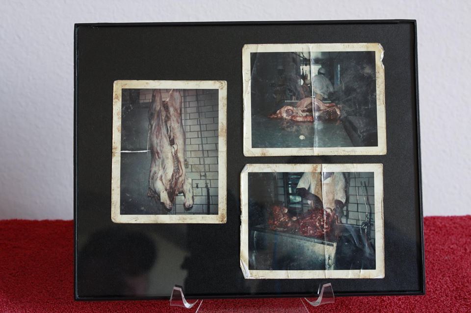 Texas Chainsaw Massacre -Hitchiker Slaughterhouse Polaroid Prop Replica ...