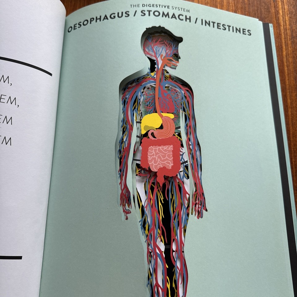 Anatomy: A Cutaway Look Inside the Human Body, H l ne Druvert, Used ...
