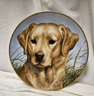 Yellow Labrador Retriever Decorative Plate | eBay