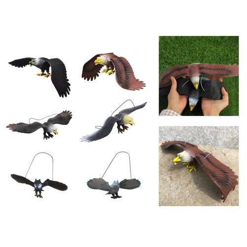Simulated Eagle Model Highly Detailed Durable Scene Prop Eagle Toy ...