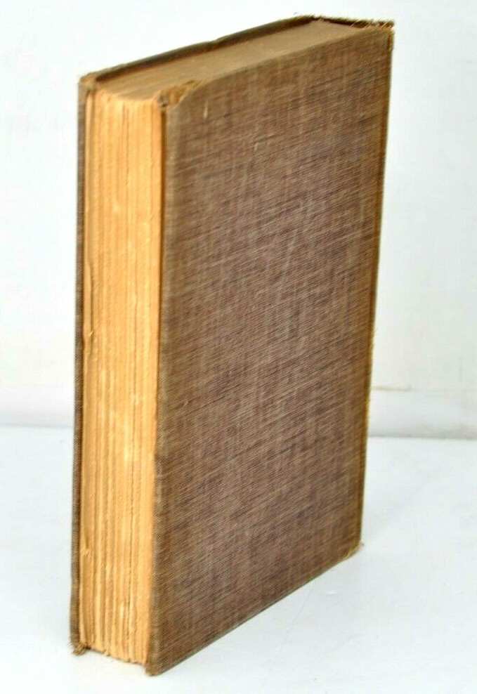 Vintage 1934 ROMAN ROUNDABOUT First Edition AMELIE POSSE-BRAZDOVA | eBay