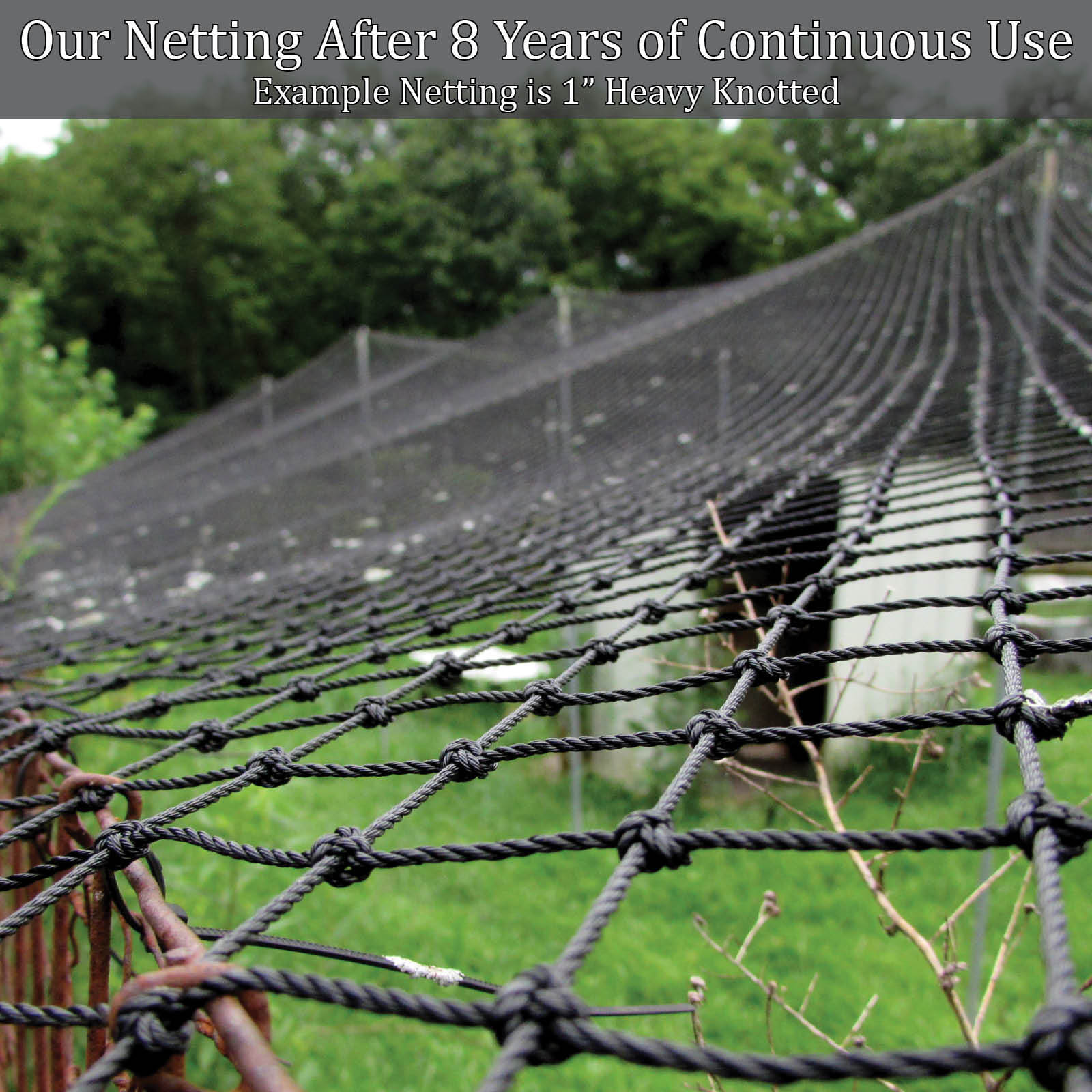 Poultry Netting 25' x 25' 2" Mesh Heavy Knotted Aviary Nets Anti Bird ...