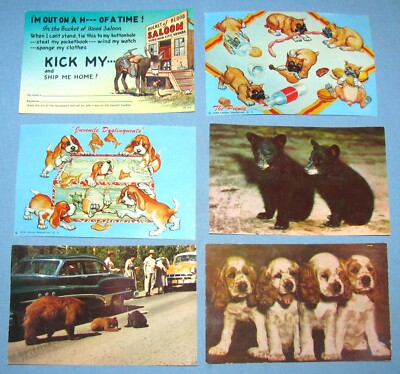 Lot of 6 Vintage Unposted Postcards - Excellent Condition - Great Price ...