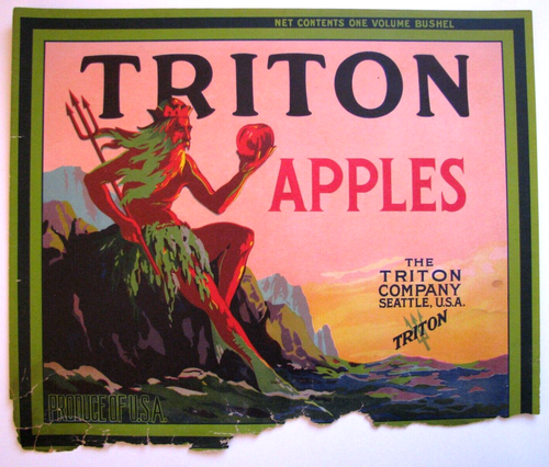 Original TRITON apple crate label The Triton Company Seattle WA sea god ...