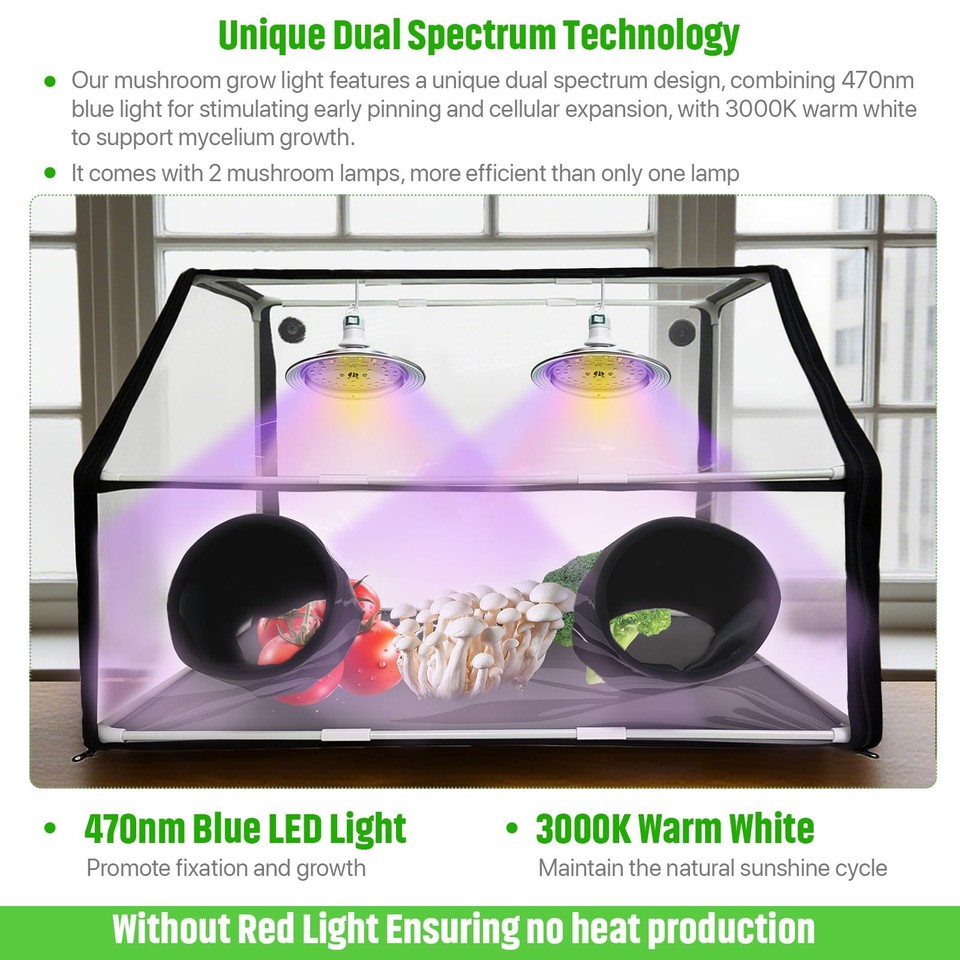 Still Air Box Mushroom Grow Set, 30×20×20" Mycology Fume Hood ...