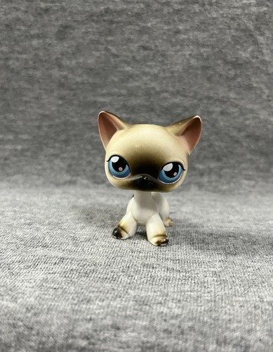 LITTLEST PET SHOP # 5 1ST SIAMESE CAT KITTEN RELEASED BLUE EYES RED ...
