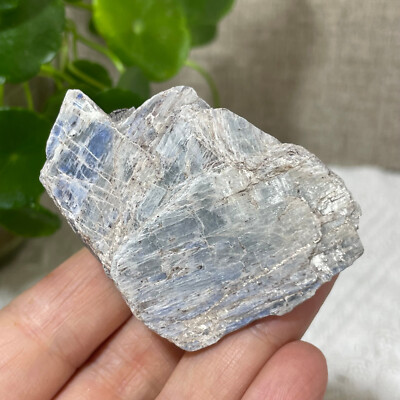 Rare Blue Crystal Natural Kyanite Rough Gem stone mineral Specimen ...
