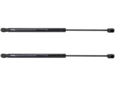 Lift Support Set For 2018-2020 Chevy Traverse 2019 JF296NR | eBay