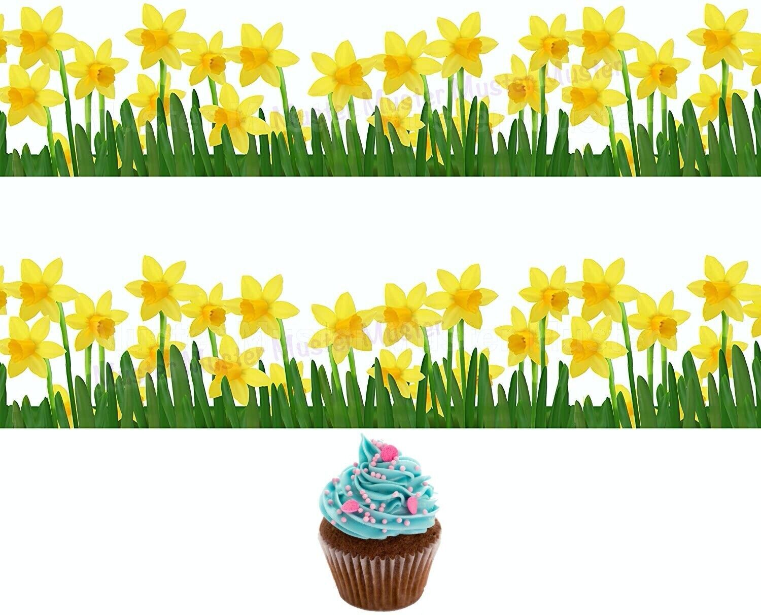 Daffodil Border Clipart