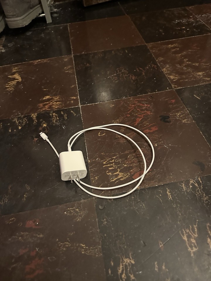 Apple AirPod Pro Max ‘White’ W/ Additional Accessories | eBay