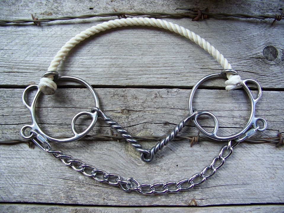 Bit - SS Ring/Sliding Gag w/Twisted Wire Snaffle | eBay