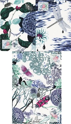 Insects Bryodemella Tuberculata Lygaeus Equestris Darner Beetle Sweden ...