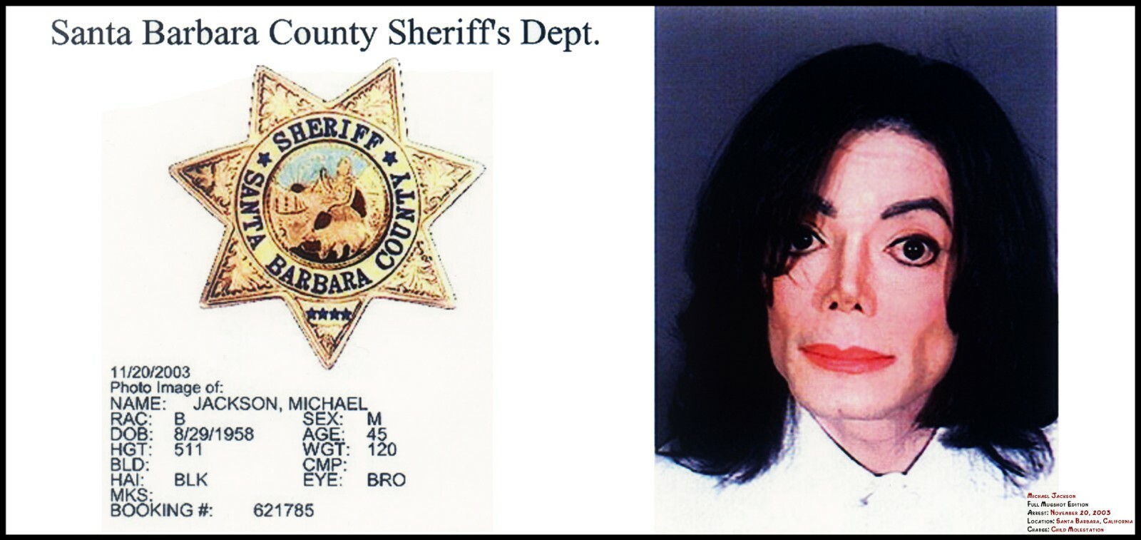 Mugshot - Michael Jackson - Canvas Art Poster. Size: 12" x 24" | eBay