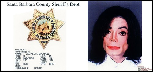 Mugshot - Michael Jackson - Canvas Art Poster. Size: 12" x 24" | eBay