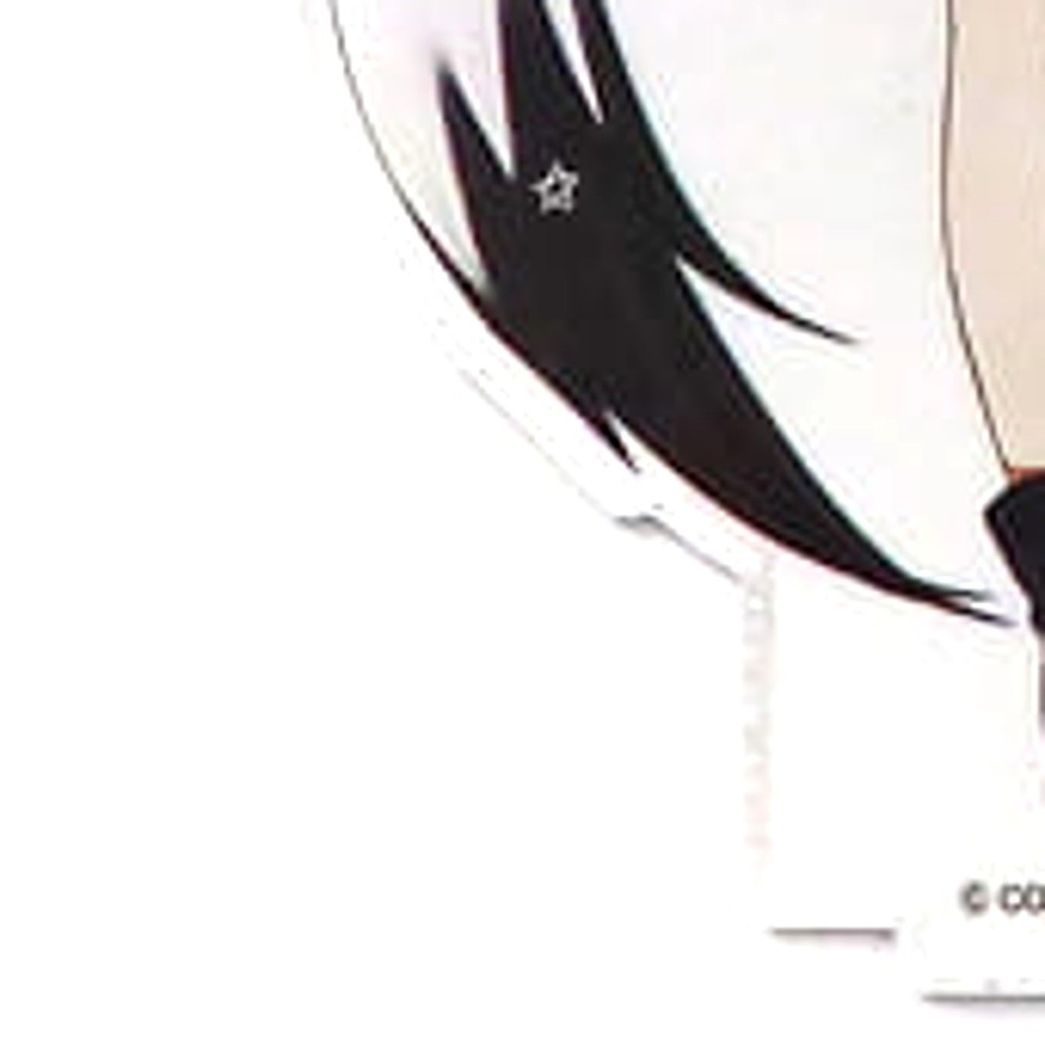 VTuber Hololive Shirakami Fubuki Full-Body Illustration Ver. Acrylic ...