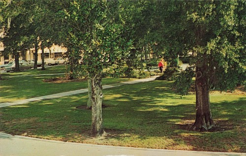 Sebring Florida, Circle Park, Vintage Postcard | eBay