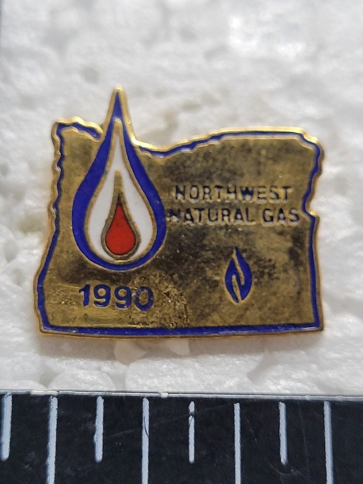 1990 NORTHWEST NATURAL GAS HAT LAPEL PIN PIN BACK USED (X2476) | eBay