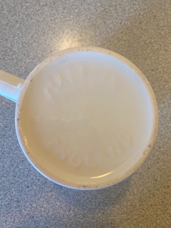 Marriage of Prince Charles and Lady Diana Spencer Commemorative Cup ...