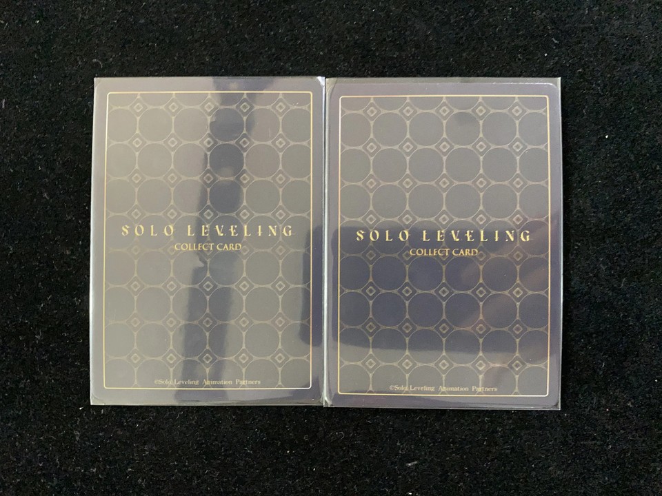 SL1E-091 HR Holo Mapniverse Solo Leveling Sung Jinwoo Lot 2 ggy | eBay