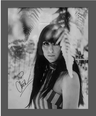 CHER Vintage1960s Autographed B&W Portrait - $6K APR Value w/ CoA! | eBay