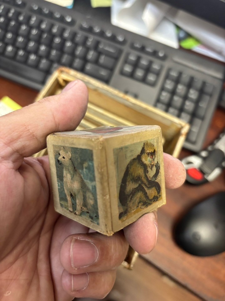 SET of 8 Antique Lithograph Wooden Children's Nesting Blocks | eBay